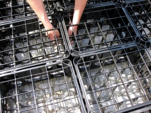 Parade: Installation Explores Nonlinear Public Spacial Design - eVolo ...