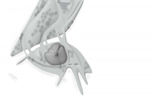 Cocoon-like Orthodox Church - eVolo | Architecture Magazine