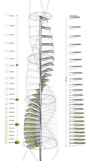 Urban Vertical Farming: Generative System for a Vegetable Growing ...