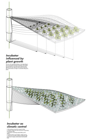 Urban Vertical Farming: Generative System for a Vegetable Growing ...