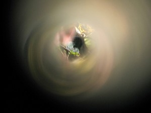 SOL Grotto Installation of Solyndra Tubes / Rael San Frattello ...