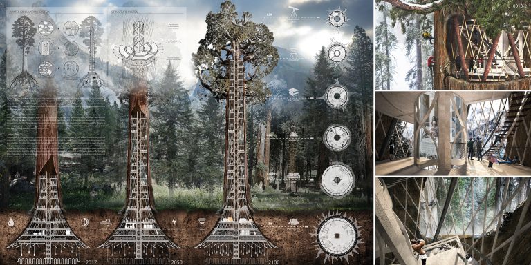 Giant Sequoia Skyscraper- eVolo | Architecture Magazine